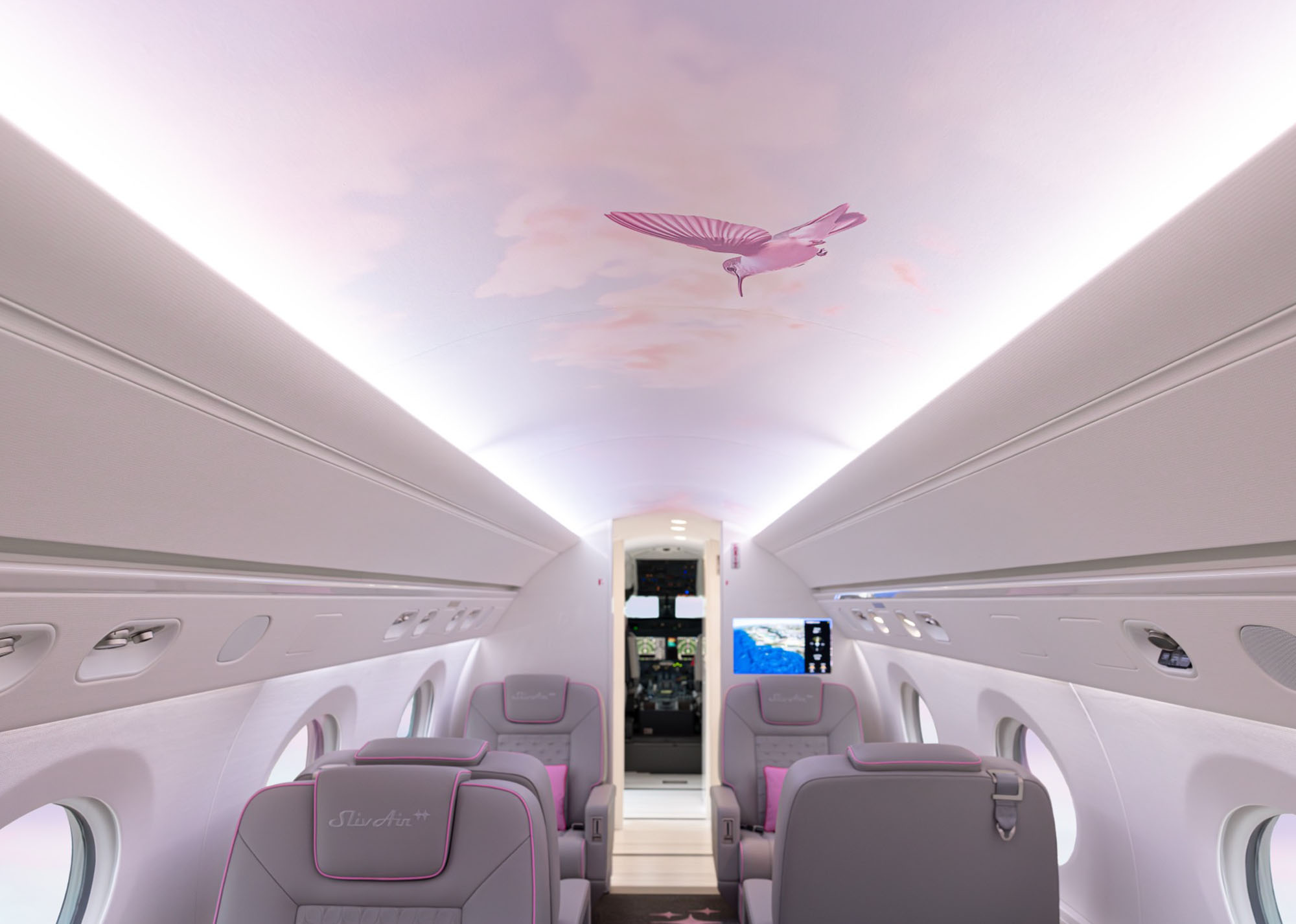 14 Passenger Gulfstream G450 – VNY Private Jet Charter | Solairus Aviation